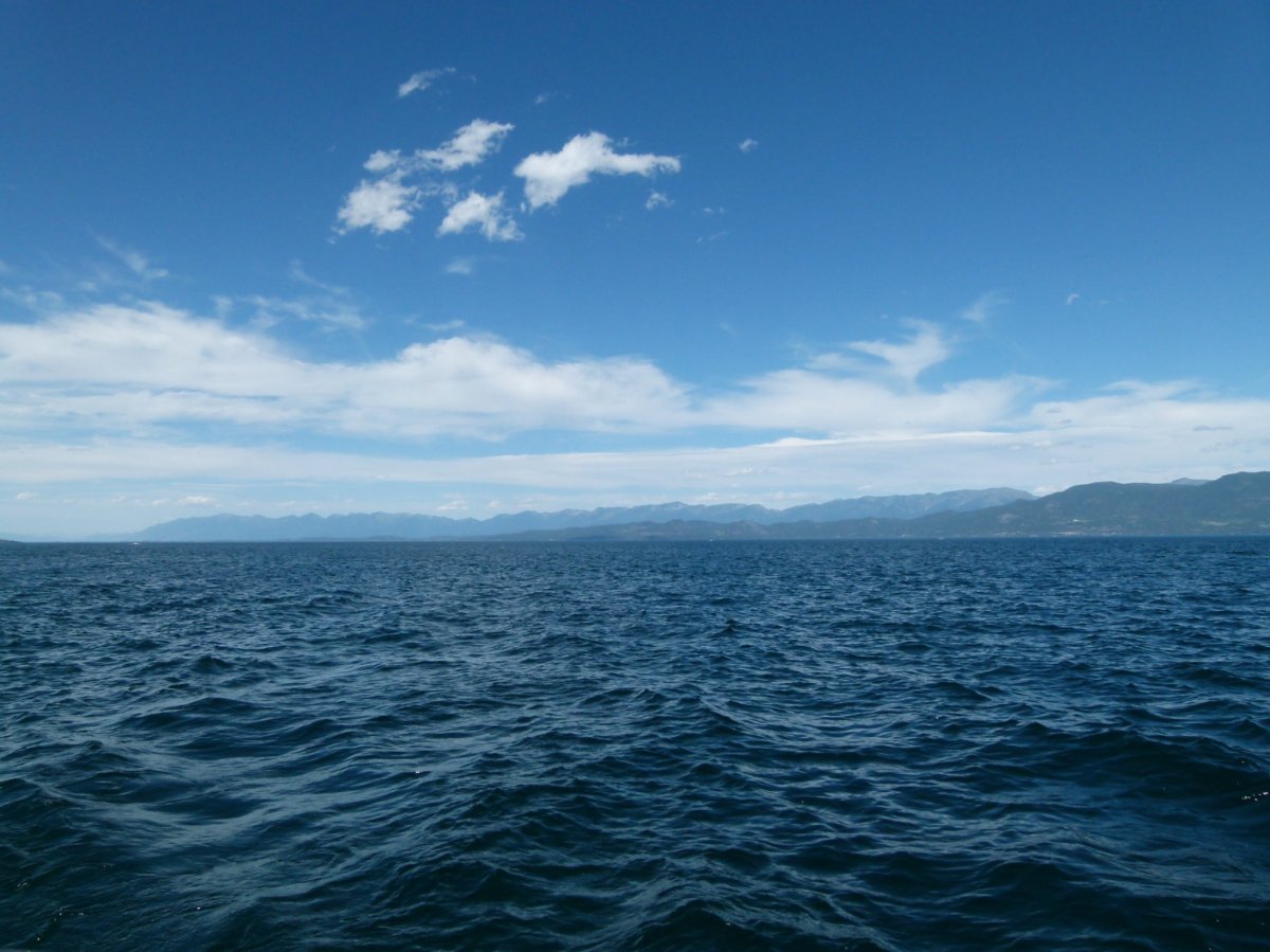 Flathead Lake – Design, Garden, & Travel by Majestic Meadows